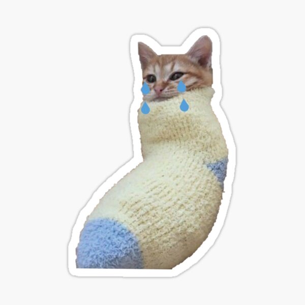 "sad cat" Sticker for Sale by haileya01 | Redbubble
