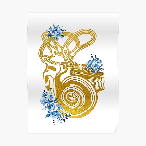"Ear anatomy" Poster by erzebetth | Redbubble