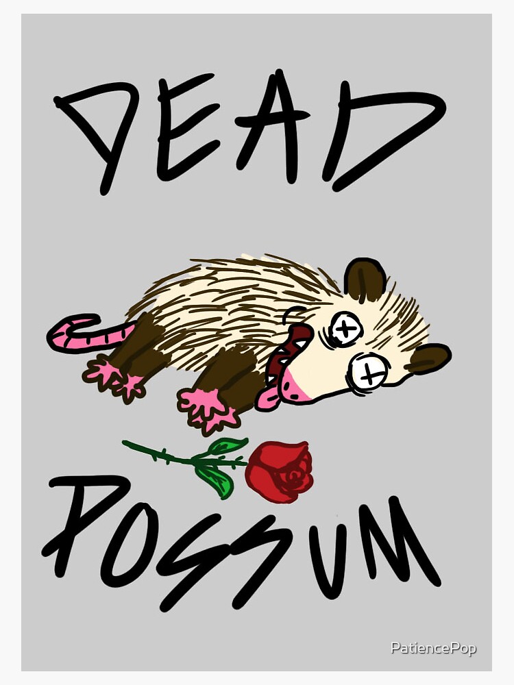 "Dead Possum band logo" Sticker for Sale by PatiencePop | Redbubble