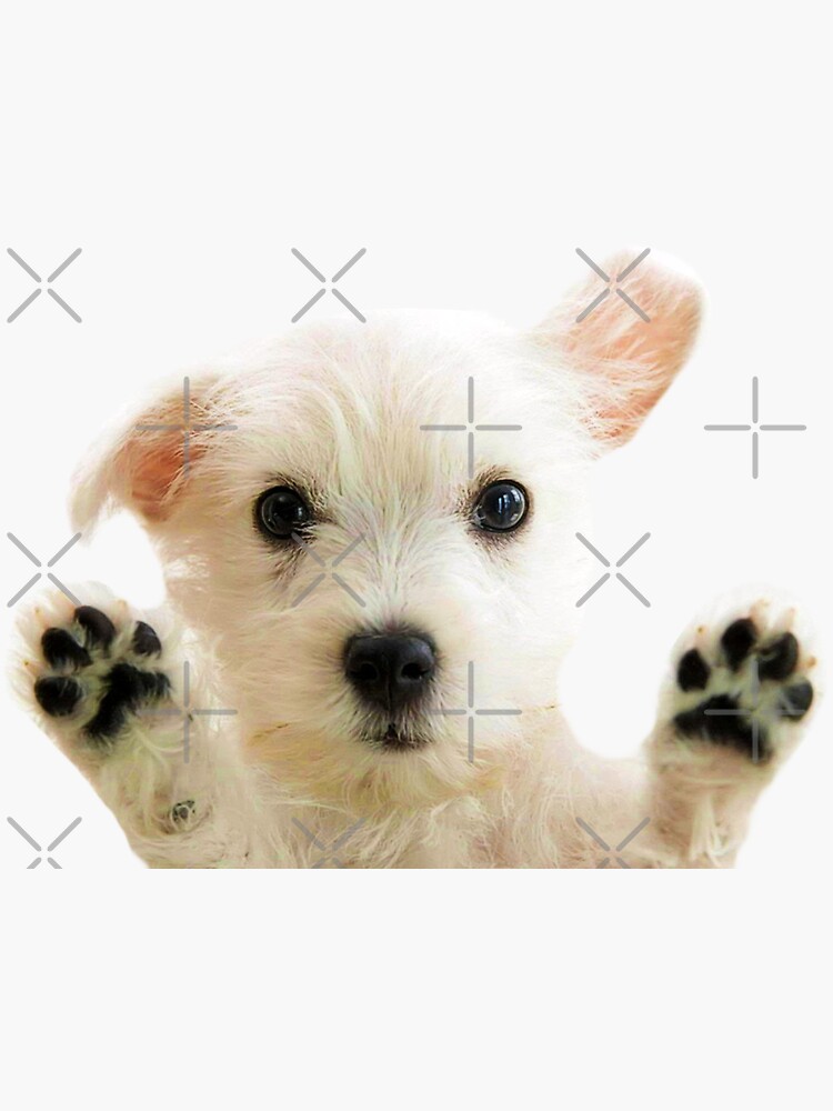 "HD Dog Sticker // HD Puppy Sticker" Sticker by FordR24 | Redbubble