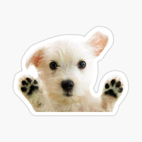 "HD Dog Sticker // HD Puppy Sticker" Sticker by FordR24 | Redbubble