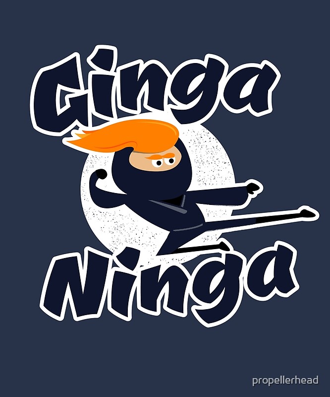 "Ginga Ninja - Readhead Martial Artist" by propellerhead | Redbubble