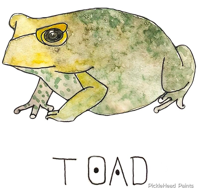 "Toad Pop Art " by Courtney Bowlin | Redbubble