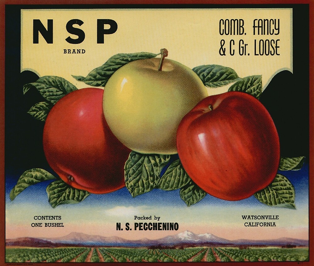 "Vintage Food Crate Label NSP Fancy California Apples Fruit Vegetable ...