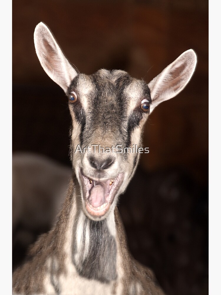 Goofy Goat Evil Goat GIFs | Tenor