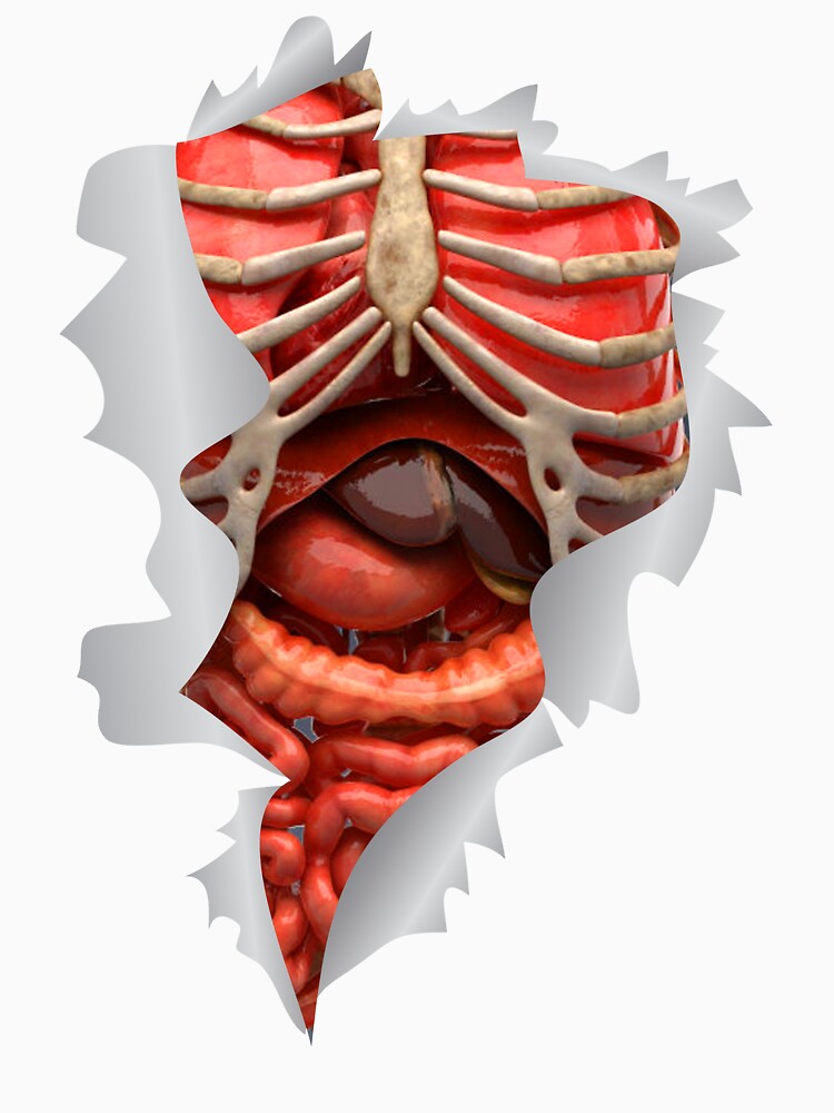 "Offal internal organs" T-shirt for Sale by blfnk | Redbubble | thorax ...