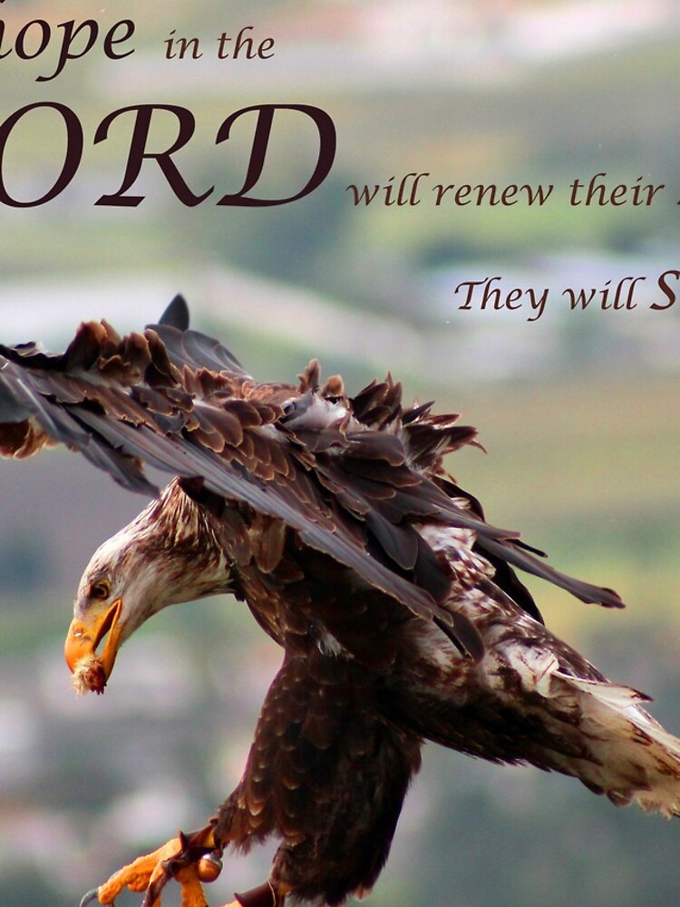 "Flying Eagle Bible Verse" iPhone Case for Sale by rhamm | Redbubble