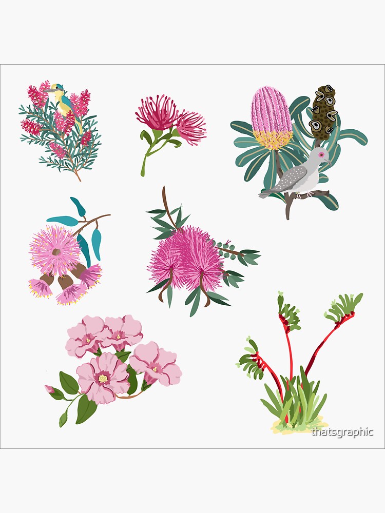 "Australian Native Flowers and Birds Sticker Sheet - Aussie Stickers ...