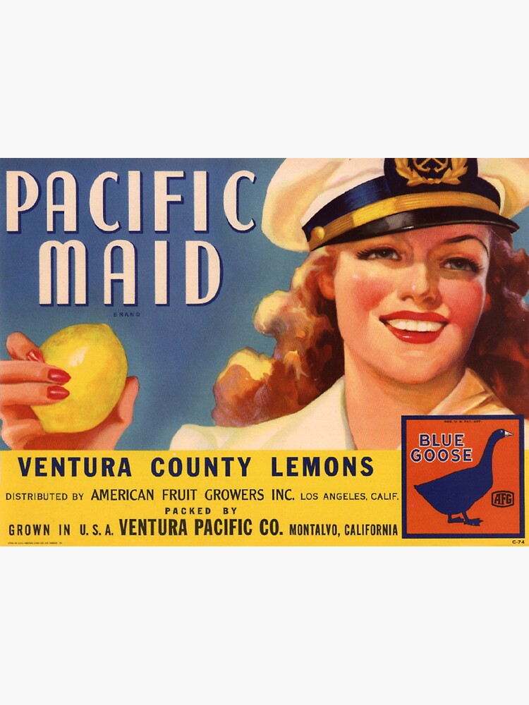"Vintage Food Crate Label Pacific Maid Ventura County Lemons California ...