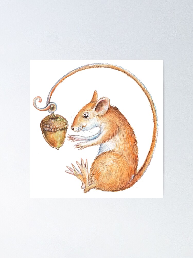 "Mouse with acorn" Poster for Sale by pambrosini | Redbubble
