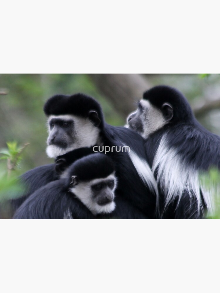 "The Great Depression" Sticker for Sale by cuprum | Redbubble