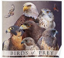 "birds of prey poster" by R Christopher Vest | Redbubble