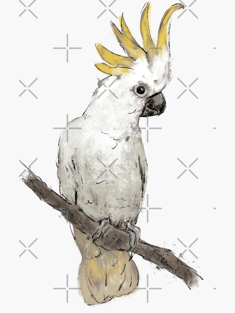 "cockatoo" Sticker for Sale by lobitos | Redbubble