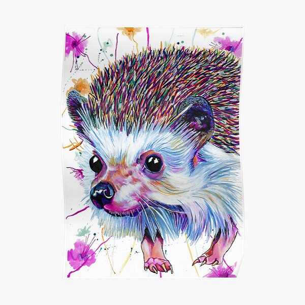 Hedgehog Posters | Redbubble