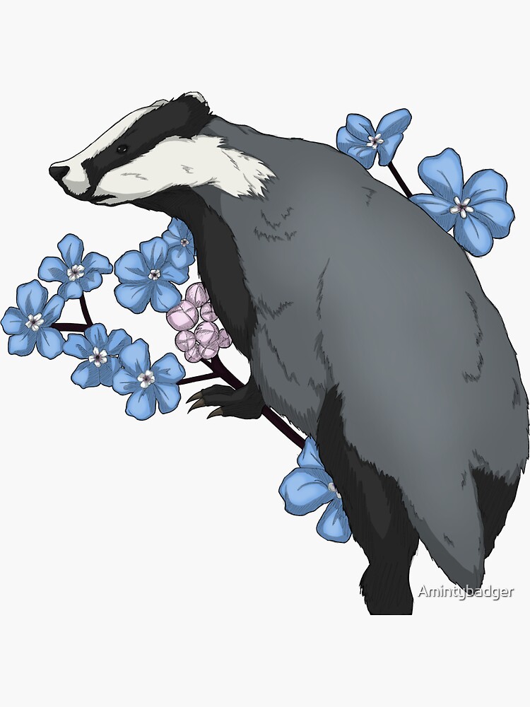 "Badger " Sticker for Sale by Amintybadger | Redbubble