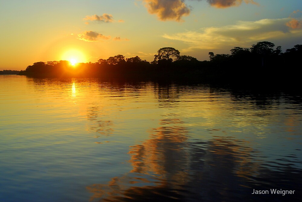 "The Beni, Bolivia" by Jason Weigner | Redbubble