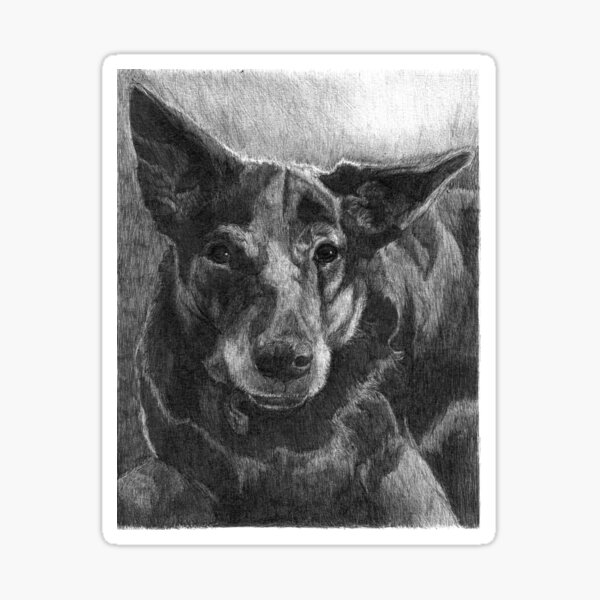 "Sadie" Sticker for Sale by FaithfulFaces | Redbubble