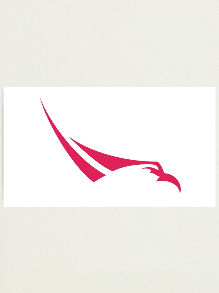 "SpaceX Falcon Logo" Photographic Print by WhiskeyNight | Redbubble