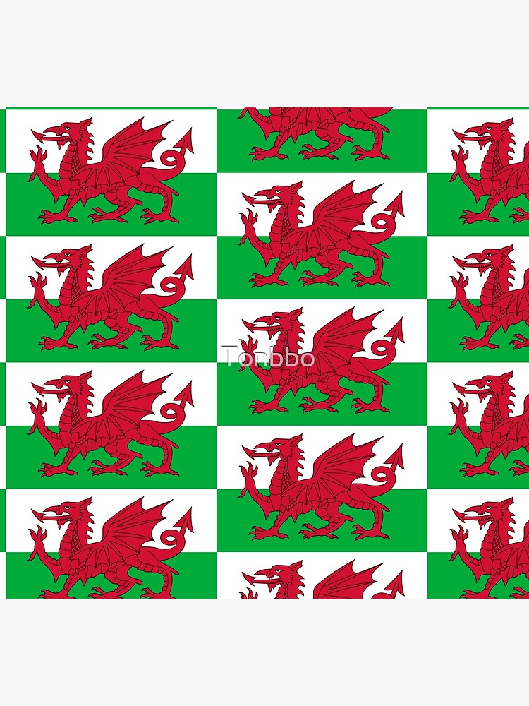 "Flag of Wales" Socks for Sale by Tonbbo | Redbubble
