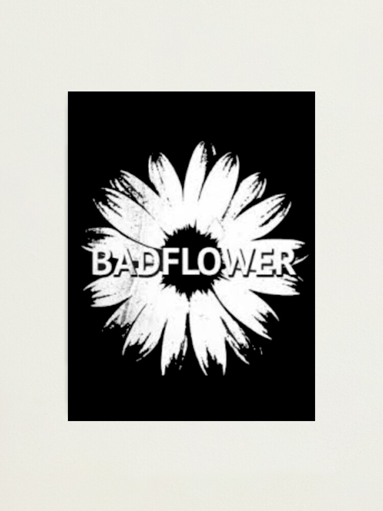 Flower Band Logo The Cult T Shirt Hidden City Flowers Band Logo New
