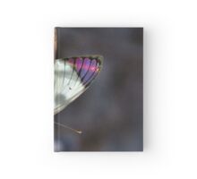 "BUTTERFLY SERIES - _Queen Purple Tip Colotis regina_" by Magriet ...