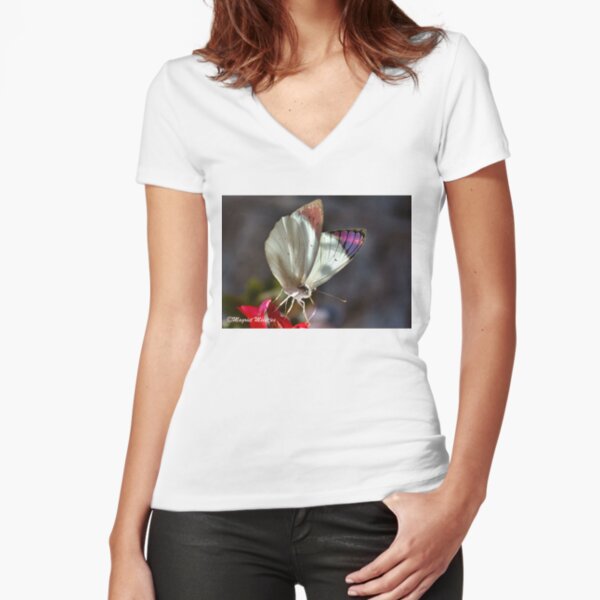 "BUTTERFLY SERIES - _Queen Purple Tip Colotis regina_" by Magriet ...