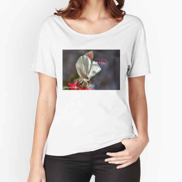 "BUTTERFLY SERIES - _Queen Purple Tip Colotis regina_" by Magriet ...