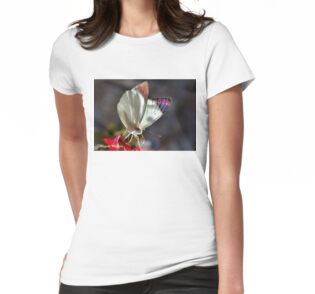 "BUTTERFLY SERIES - _Queen Purple Tip Colotis regina_" by Magriet ...