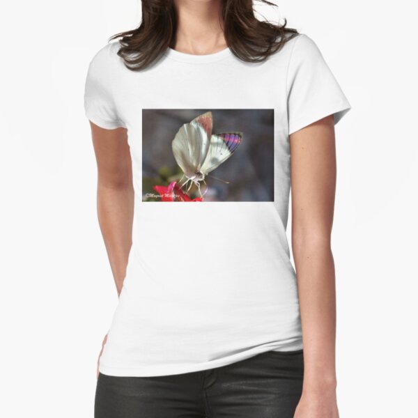 "BUTTERFLY SERIES - _Queen Purple Tip Colotis regina_" by Magriet ...