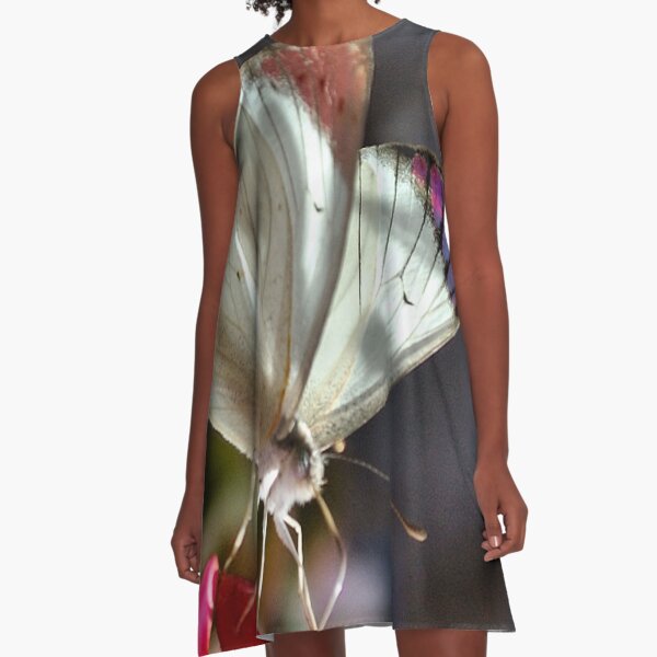 "BUTTERFLY SERIES - _Queen Purple Tip Colotis regina_" by Magriet ...