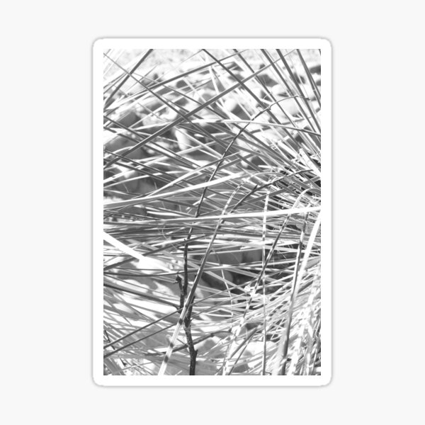 Cochise Merch & Gifts for Sale | Redbubble