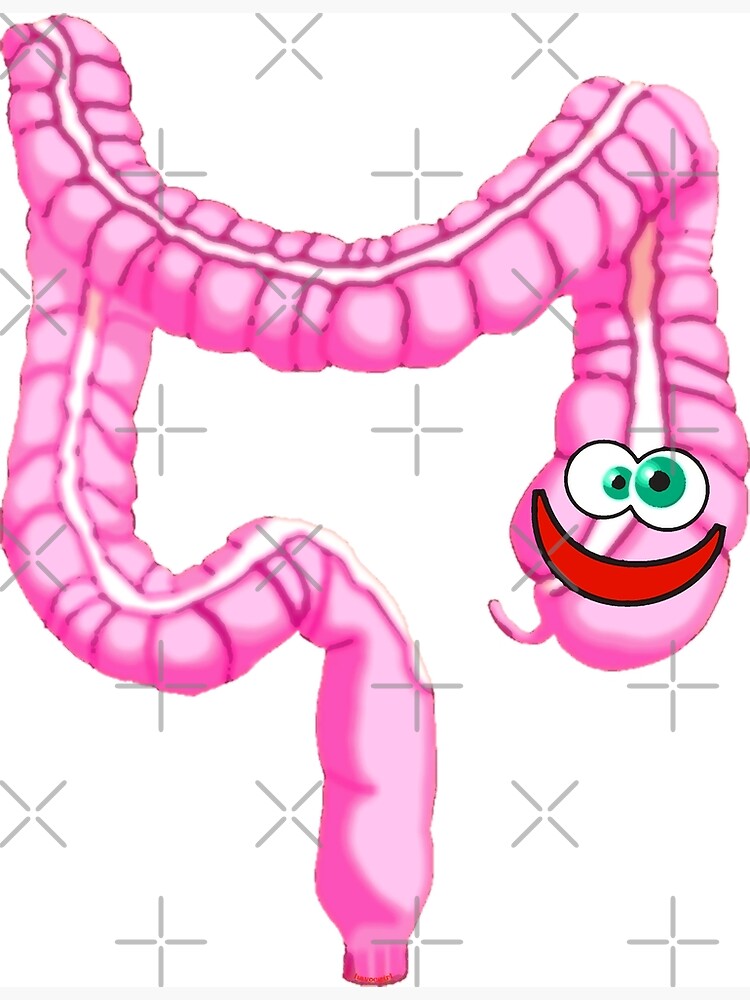 "Happy Colon" Poster for Sale by Havocgirl | Redbubble