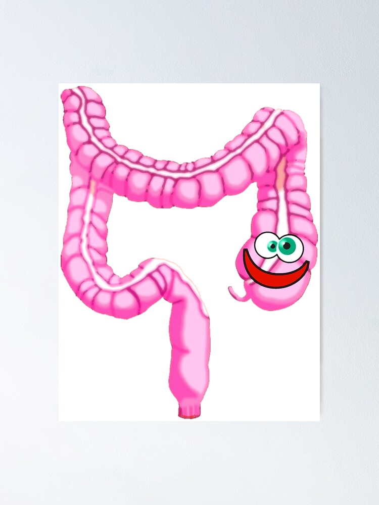 "Happy Colon" Poster for Sale by Havocgirl | Redbubble