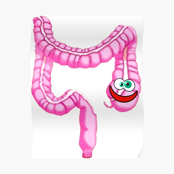 "Happy Colon" Poster for Sale by Havocgirl | Redbubble