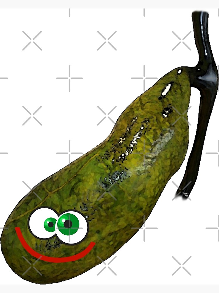 Lámina fotográfica «Vesícula biliar feliz vesícula biliar» de Havocgirl ...