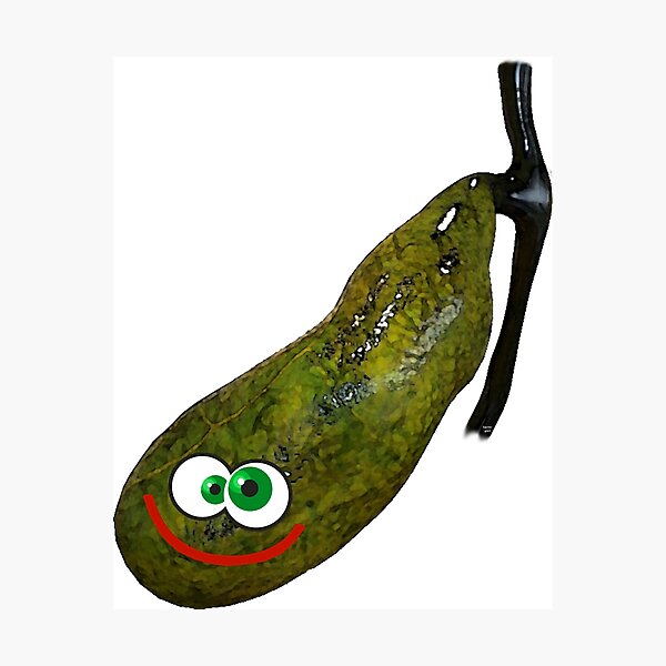 Lámina fotográfica «Vesícula biliar feliz vesícula biliar» de Havocgirl ...