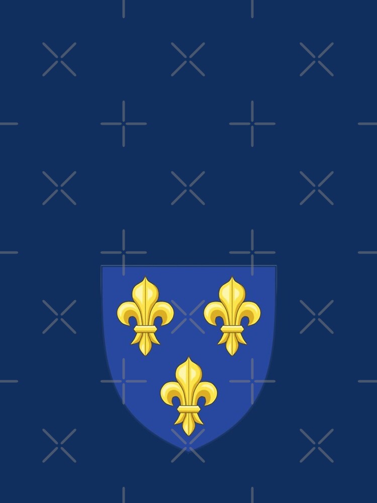 "Blason France moderne French royal golden yellow fleur de lys lis blue ...