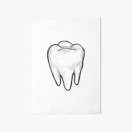 "Wisdom Tooth" Art Board Print for Sale by joanaleal | Redbubble