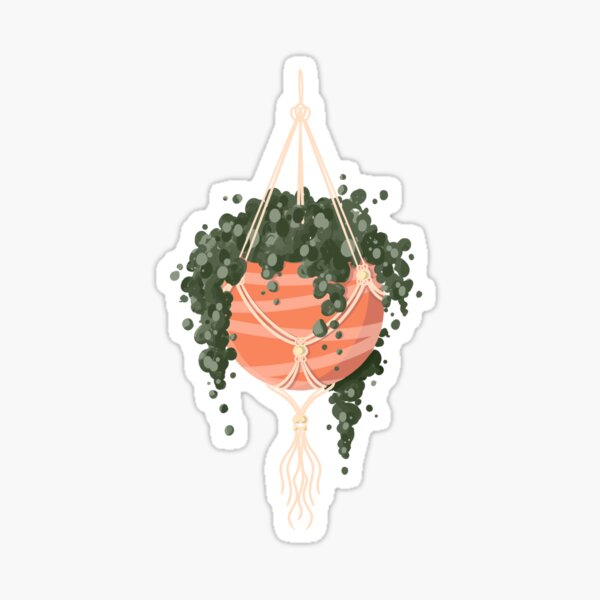 "Hanging plant " Sticker for Sale by Anannes | Redbubble