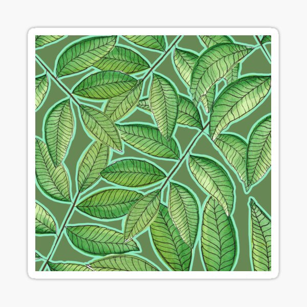 "Ash " Sticker for Sale by zoe-lidgard | Redbubble