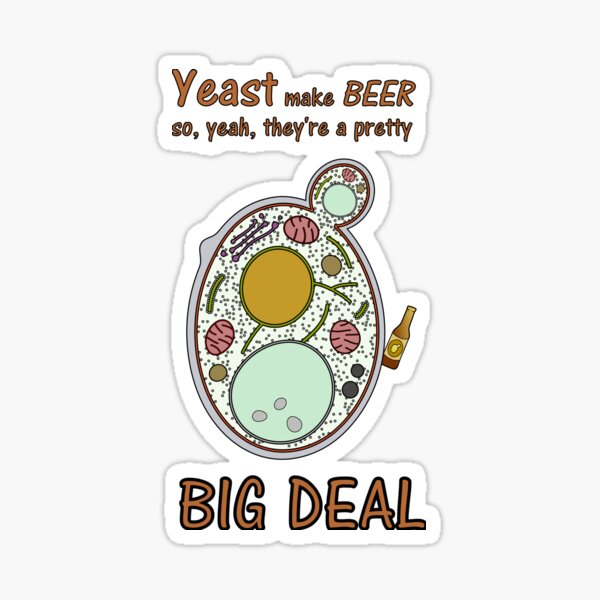 "Yeast Make Beer" Sticker for Sale by chytridoodles | Redbubble