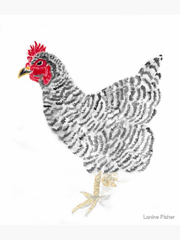 "Barred Rock Hen" Poster for Sale by laninefisher | Redbubble