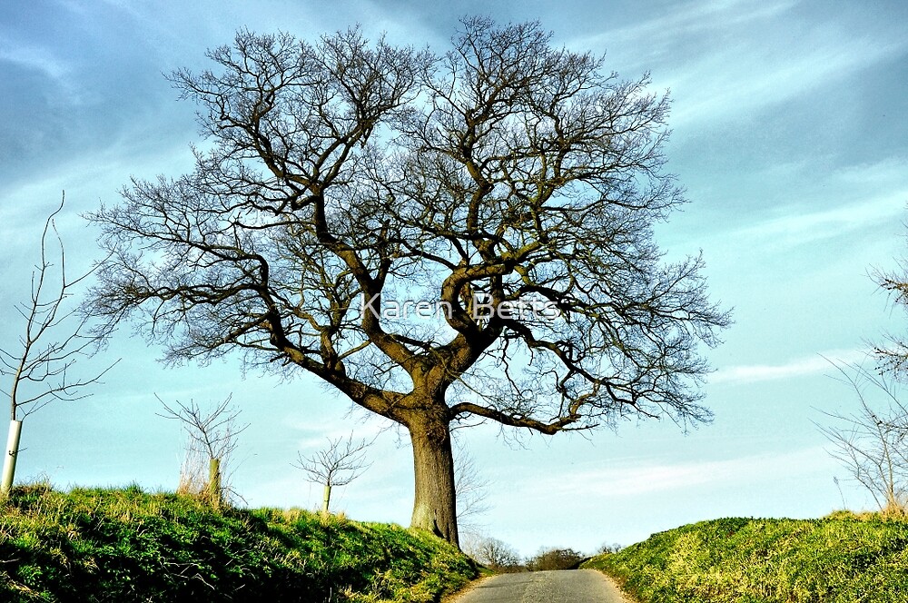 "My Favourite Tree" by Karen Betts | Redbubble