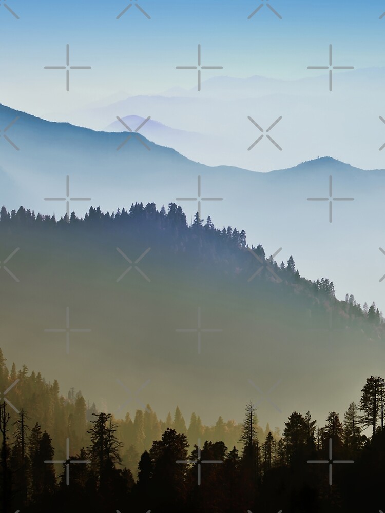 "Forest pine trees horizon with fog and clouds blue theme with greenish ...