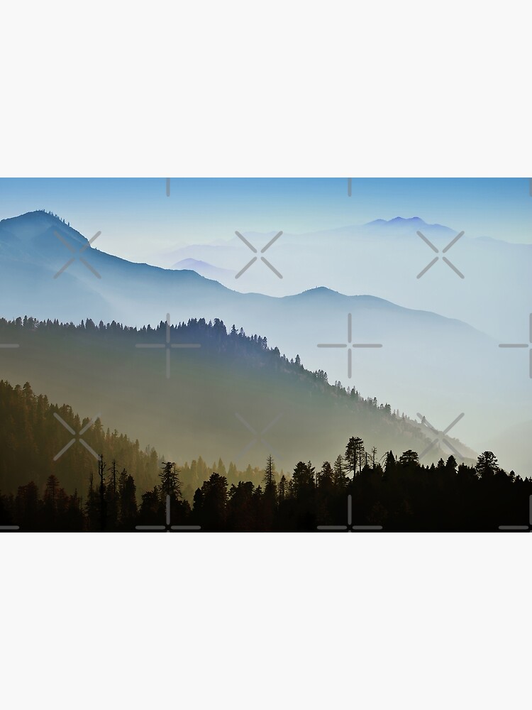 "Forest pine trees horizon with fog and clouds blue theme with greenish ...