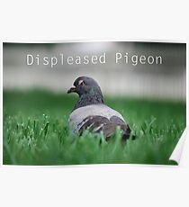 Pigeon: Posters | Redbubble