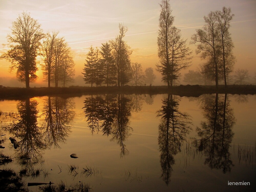 "Morning Reflections" by ienemien | Redbubble