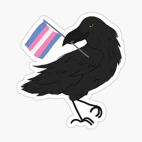"Pride Crow (trans pride)" Sticker for Sale by bluejeanz | Redbubble