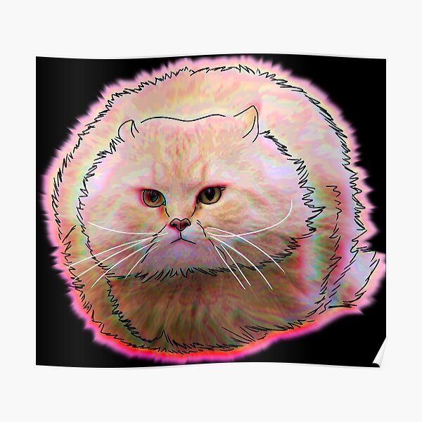 "Fliegende Katze Meme" Poster von Coddiwomple3 | Redbubble