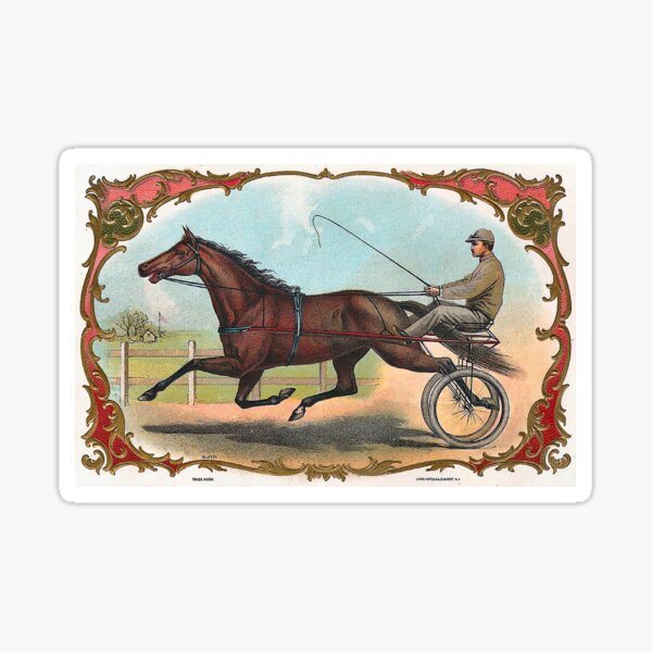 "Man Riding Horse On Wheels Vintage Horse Racing " Sticker by ...